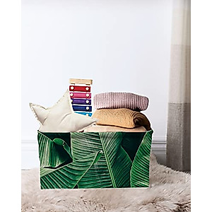 Storage Basket Summer Green Banana Leaves Storage Bin with Handles, Tropical Nature Plant Collapsible Organizer Storage Cubes Bins for Closet, Laundry Clothes, Bathroom, Nursery Toys