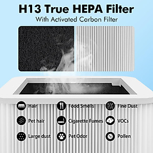 2 Pack 211+ Filter Replacement Compatible with 211+ Air Purifier, 2-In-1 H13 211+ Hepa Filter and Activated Carbon Filter