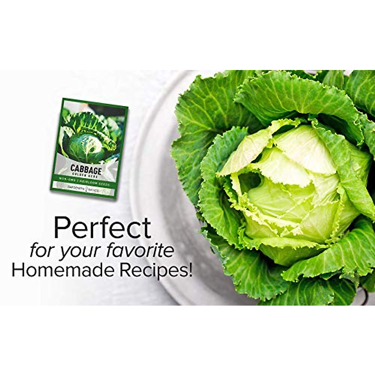 Cabbage Seeds for Planting - Golden Acre Green Heirloom, Non-GMO Vegetable Variety- 1 Gram Approx 225 Seeds Great for Summer, Spring, Fall, and Winter Gardens by Gardeners Basics