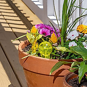 Wyndham House, 6 Piece Small Watering Globe Set, Colorful Hand-Blown Glass Plant Watering System