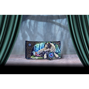 Nemesis Now Lisa Parker Fairy Stories Embossed Purse 18.5cm, PU, Multi Coloured, Lisa Parker Merchandise, 3D Effect Detailing, Large Cash and Cards Compartments