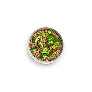 Lekue Microwave Rice, Grain & Quinoa Cooker, one size, Green