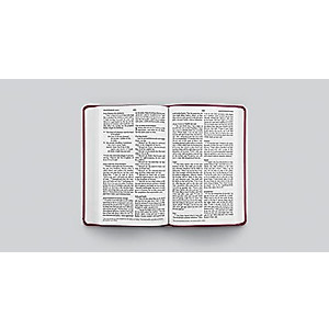 ESV Large Print Value Thinline Bible (TruTone, Raspberry, Floral Design)