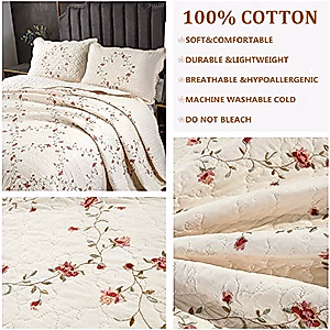 Quilt Set Classical 3D Floral Embroidery Pattern 3-Piece Cotton Reversible Quilted Embroidered Decorative Bedspreads Coverlet Bedding Set, Lightweight &Soft,Beige,King Size