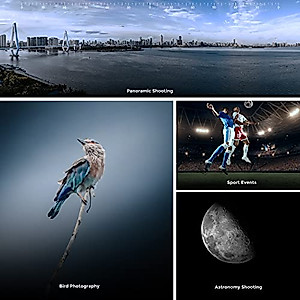 Neewer Professional Heavy Duty Metal 360 Degree Panoramic Gimbal Tripod Head with Standard 1/4'' Quick Release Plate and Bubble Level for DSLR Cameras up to 30lbs/13.6kg