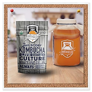 Jun Kombucha Starter Culture - USDA Certified Organic Jun SCOBY & Starter Tea - Makes 1 Gallon - Brewed with Organic Green Tea & Honey - Brew Jun Tea!