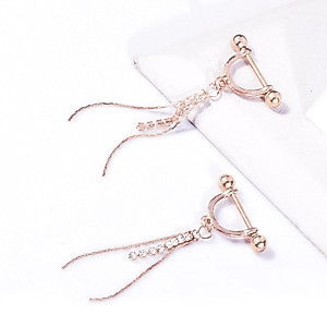 Kinsing, 316L Surgical Steel CZ Body Nipple Piercing Jewelry 14G Dangly Tassels Nipple Rings Retainer for Women Girls 12Inch 2 Pack (Rose Gold)