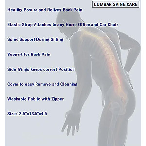 AmeriCan Goods Healthy Lumbar Support Pillow Lower Back Pain Contoured Foam Cushion for Car Office Home Computer Gaming Pillow for Back Pain Relief Improve Posture