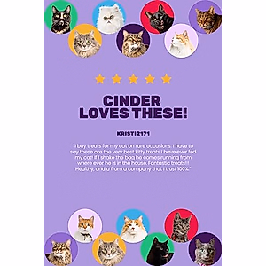 I and love and you Meow and Zen Hearties, Coat Support Grain Free Cat Treats, Salmon Recipe With Omegas 3 and 6, Model Number: T11305 4 Ounce (Pack of 1)