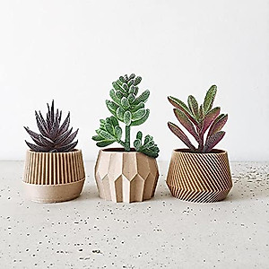 miltonson Artificial Succulent Plants - 18 Pack - Premium Fake Plants - Double Flocked Succulents - Realistic Textured Cactus - Face Succulent Plants - Mini Faux Succulents - Face Plant Decor