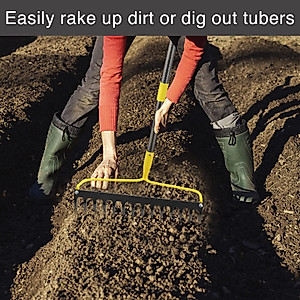 Garden Rake Metal, 12 Prongs 14" Wide Bow Rakes for Lawns Heavy Duty, Adjustable Rock Thatch Yard Rake for Leaves Gardening Loosening Soil Long Handle 32-60"