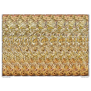 Set of Six 18"x13" Stereogram Posters (Set#2)