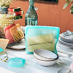 Stasher Reusable Silicone Storage Bag, Food Storage Container, Microwave and Dishwasher Safe, Leak-free, 4-Pack Storage Starter, Endangered Seas