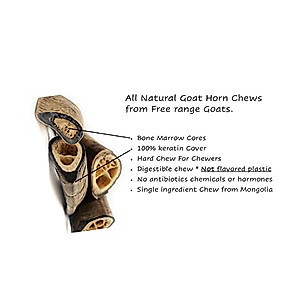 Herders Choice Chews Dried Goat Horns (Medium 2 pcs.)