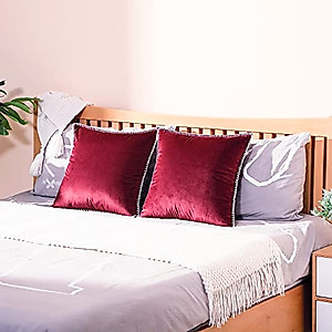 GAWAMAY Set of 2 Fall Decorative Soft Velvet Gold Throw Pillow Covers with Chenille Fancy Edge Boho Accent Square Cushion Case for Couch Sofa Living Room Beding 16 x 16 Inch (40x40cm) Burgundy Red