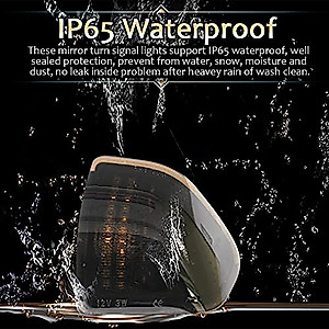 D-Lumina LED Side Mirror Turn Signal Light Left and Right Lamps Smoked Cover Lens for 2010-2018 Dodge Ram 1500 2500 3500 4500 5500, Rear View Mirror Lights Replace 68302828AA 68302829AA, Pack of 2