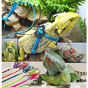 Lizard Leash Bearded Dragon Harness Adjustable Reptile Lizard Harness Leash Parrot Harness Turtle Lizard, Suitable for Gecko Hamster Kitten Small Animal Outdoor Walking - Black