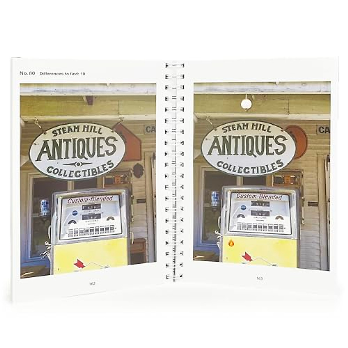 Picture Puzzles: Spot the Difference: More Than 1,000 Differences to Find! Adult Puzzle Book Includes Spiral Bound / Lay Flat Design (Brain Busters)
