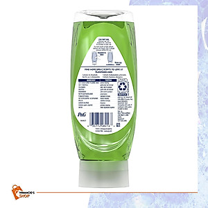 Gain EZ-Squeeze Dishwashing Liquid Dish Soap + Includes Venancio’sfridge Sticker and Cleaning Sponge (Original Scent 14.7 fl oz – Pack of 1)