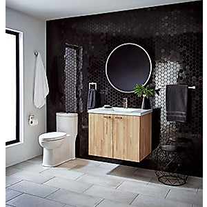 Moen Kyvos Brushed Nickel Double Modern Robe Hook, BP3703BN Small