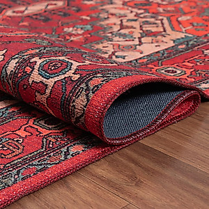 Washable Area Rug Living Room, Bedroom, Bathroom, Kitchen Vintage Chenille Rug Animal-Friendly 0602_RED (2' x 3')