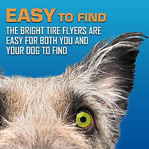 Nerf Dog Tire Flyer Dog Toy Gift Set, 10 Inch Flying Disc Dog Fetch Toys, Rubber Dog Toy for Medium Dogs and Large Dogs, Red, Translucent Green and Translucent Blue, 3 Count