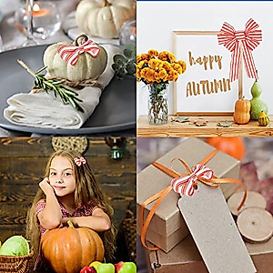 Whaline 2 Rolls Fall Thanksgiving Wired Ribbon Autumn Farmhouse Wired Edge Ribbon Orange Stripe Craft Ribbon for Bow Making Gift Wrapping Sewing Wreath Decoration, 2.5 Inch, 12 Yard