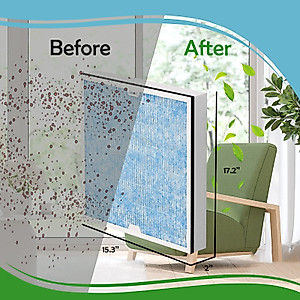 Carmerny HEPA & Activated Carbon Filter Replacement Set Compatible with AlorAir CleanShield HEPA 550 Air Scrubber (Pack of 2)