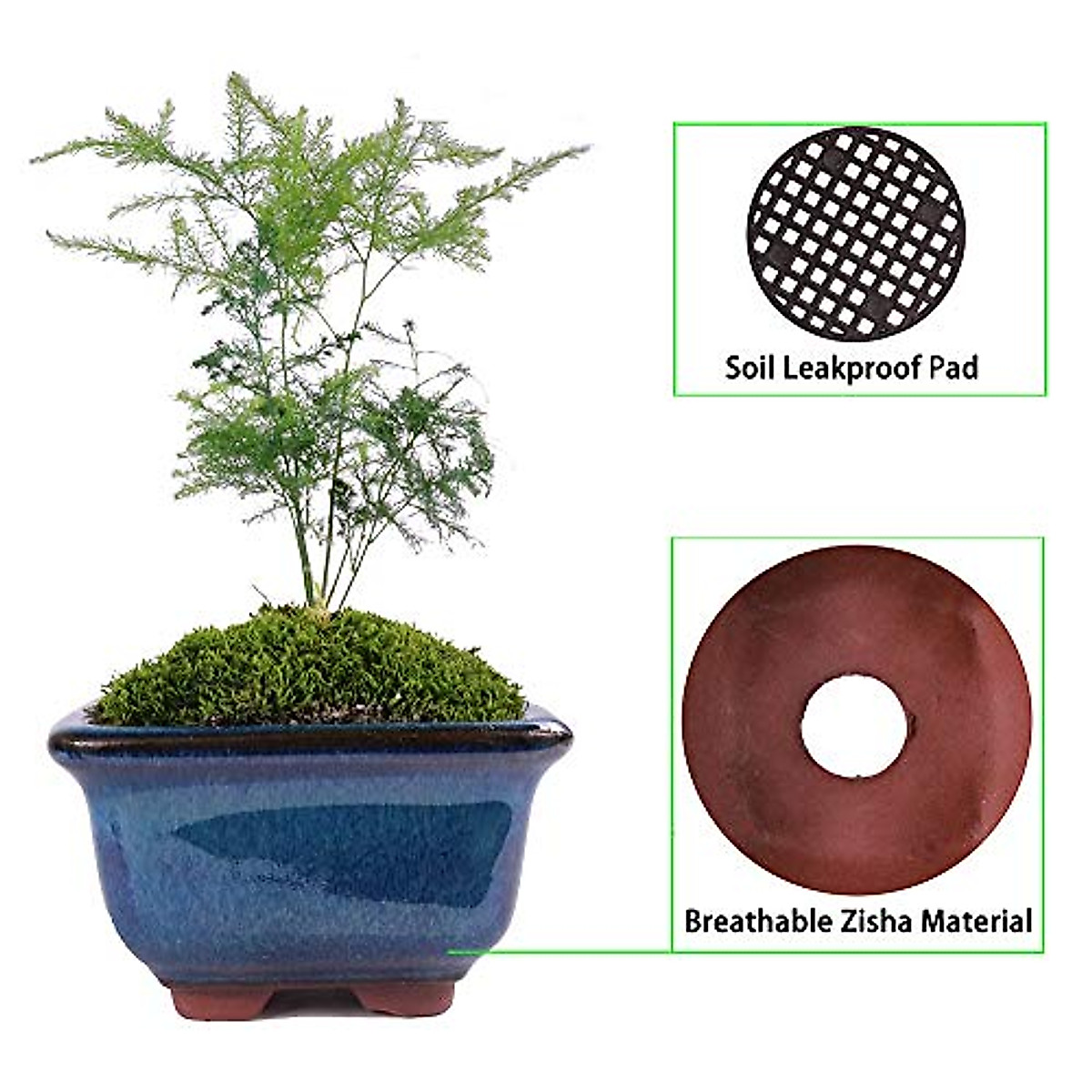 MUZHI 6PACK Glazed Bonsai Pot Planter 3" 4” Small Succulent Pots, Yixing Zisha Decorative Mame Bonsai Training Pot or Small Flower Cactus Starter Growing Planters Containers Blue