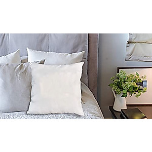 WHITEWRAP 20"x20" Set of 2 Throw Pillow Insert Decorative Polyester Filling Premium Hypoallergenic Sham Stuffer Square Couch - White