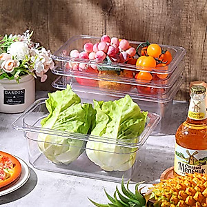 Hoolerry 12 Packs Plastic Food Pan 1/4 Size Commercial Food Storage Containers Pans Clear Stackable Restaurant Hotel Pans for Kitchen Fruits Vegetables Beans Corns (3.9 Inches Deep)