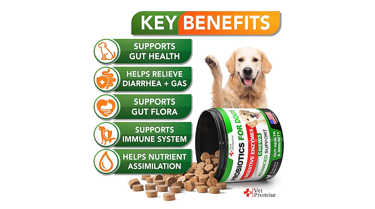Probiotics for Dogs - Enhance Digestive Health & Immunity