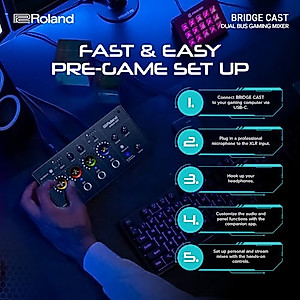Roland BRIDGE CAST Dual Bus Gaming Mixer | Professional Audio Streaming Interface and Mixer for Online Gamers | 32-Bit Hardware DSP | USB-C Windows and Mac Connectivity | XLR Input for Microphones
