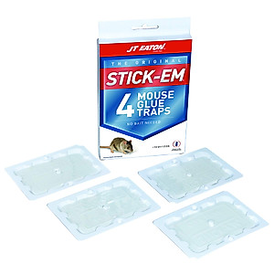 JT Eaton 133N Stick Em Glue Mouse Trap, set of 4