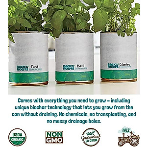 Back to the Roots New Kitchen Garden Complete Herb Kit Variety Pack of Basil, Mint, and Cilantro Seeds
