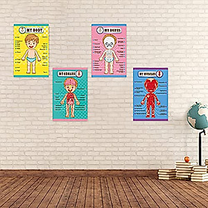 Human Body Educational Learning Posters Body Parts Learning Wall Chart for Kids Cartoon Anatomy Chart Educational Poster Preschool Kindergarten Teaching Supplies, Classroom Decoration, 17 x 11 Inch