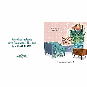 My First Book of Houseplants: Helping Babies and Toddlers Connect to the Natural World from the Intimacy of Home. Promotes a Love for Plants and the Environment. (Terra Babies at Home)