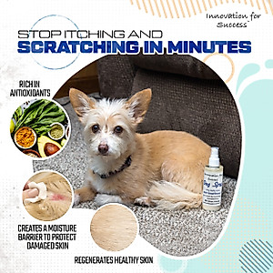 Innovation for Success Dog Spritz Dog Itch Relief Spray, Simple and Vegan Itchy Skin Relief for Dog, Squalene Oil Layer, Dog Anti Itch Spray with Antioxidants, New Improved Aroma