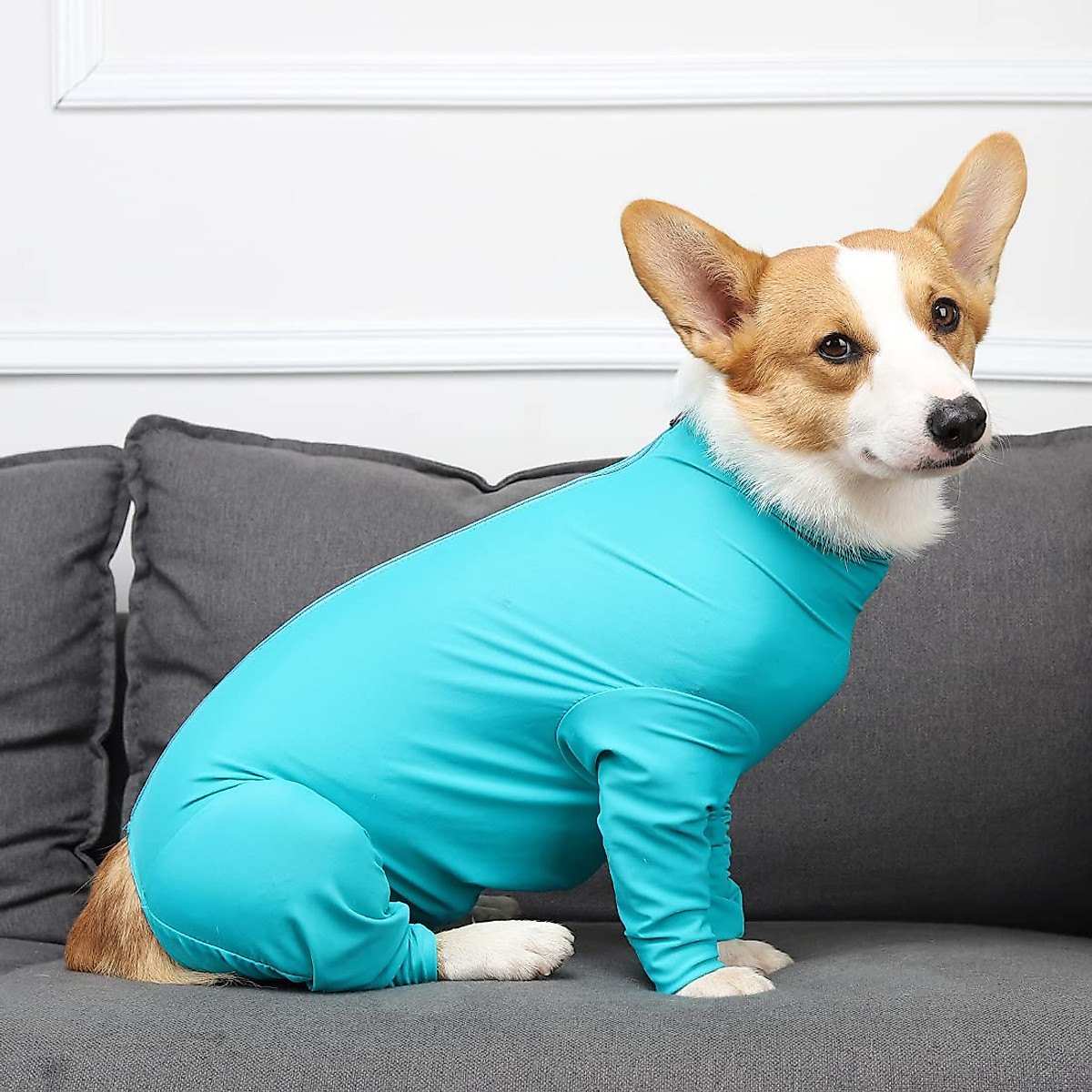 Forthcan Dog Recovery Suit Anxiety Calming Shirt for Dog E-Collar Alternative Pet Wounds Protector Medical Surgical Clothes Prevent Shedding Hair Jumpsuits Suit for Home, Car, Travel (XXXL, Blue)