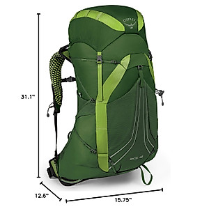 Osprey Exos 48 Men's Backpacking Backpack Tunnel Green, Small