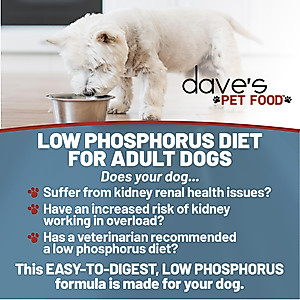 Dave's Pet Food Kidney Support for Dogs with Renal Support (Tuna Pate), Wet Renal Dog Food, Non-Prescription Low Phosphorus, Added Vitamins & Minerals, Vet Formulated (5.5 oz, Pack of 12)