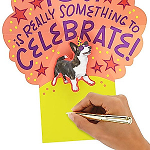 Hallmark Pop Up Birthday Card (Birthday Dog)