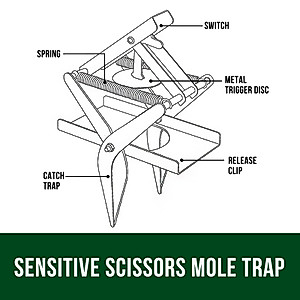 Garsum EasySet Mole Trap, Black Scissor Trap for Lawns, Reusable Quick and Clean Kill Vole Trap, 1 Set