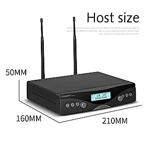 n/a Wireless Microphone UHF 2 Channels Handheld Frequency Adjustable for Party Stage Show 50M Use Distance