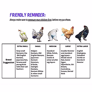 Washable Chicken Diapers for Hens or Roosters - Fashionable Nappy - Pet Chicken Diaper (Lavender Batik, Small)