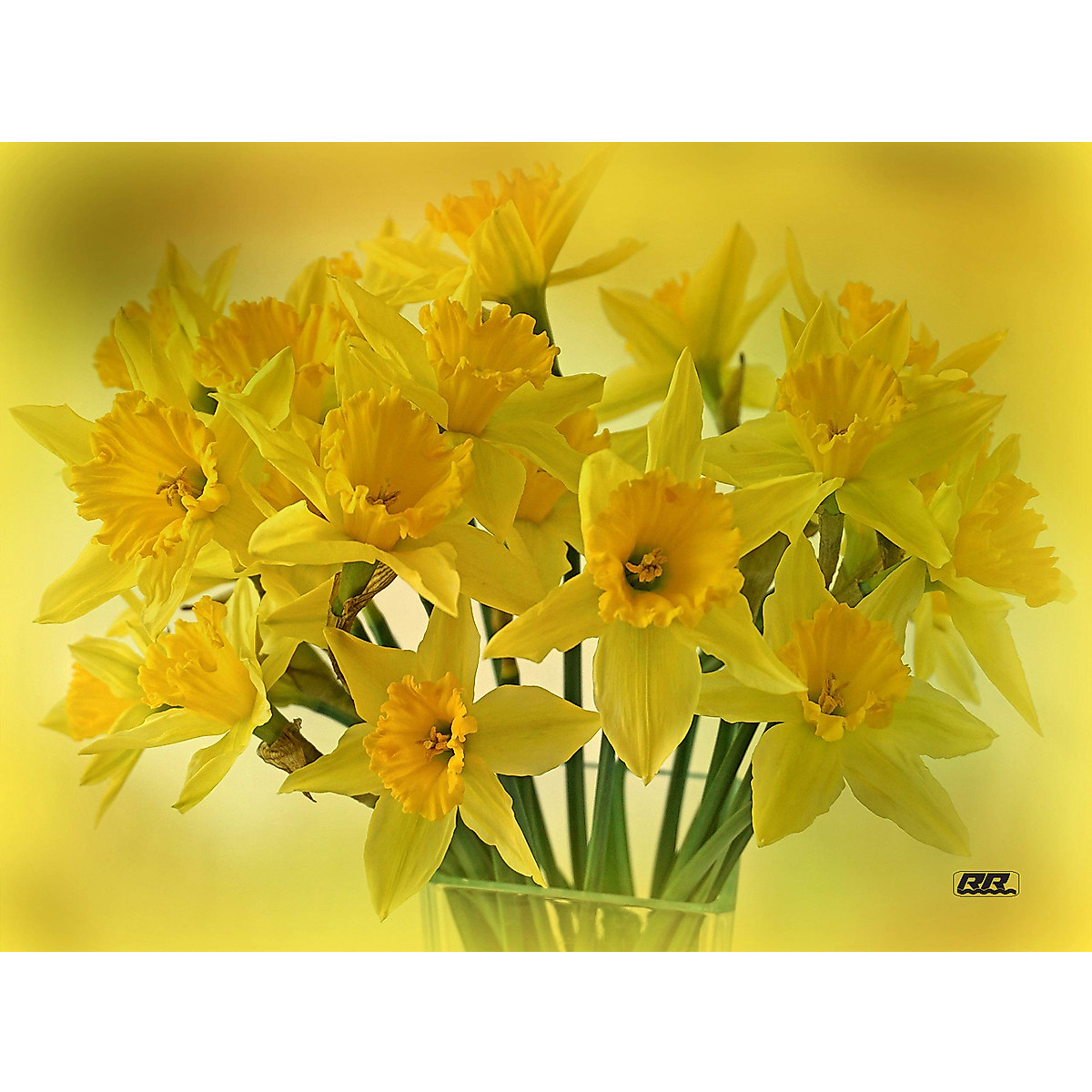 Flower Yellow Daffodil Floral Kitchen Glass Cutting Board Decorative Gift For Mom Daffodil Bouquet Design