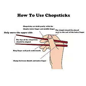 Limoer Reusable Chopsticks Non-Slip Chop Sticks Set Fiberglass Chinese Japanese Style, 5 Pairs Different colors 9.8 Inch, Multicolor (CP0001-9.8)