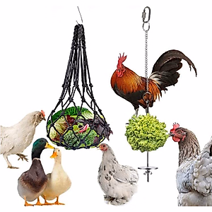 AFXOBO 4Pcs Bird Chicken Pet Toy Net Bag Swing Chewing Pet Toy Chicken Bird Cage Accessories *TUQ0073