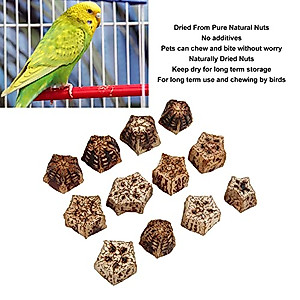 Pssopp Bird Chewing Blocks Toy,Decorative Dried Nut Wood Bird Block Toys Decorative Five Pointed Bird Toy for Bird Supplies Hamsters Totoros Rabbits