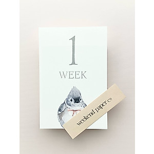 Weekend Paper Co.™ Baby Animals Milestone Cards, baby monthly marker for an expecting mother or new mother, baby gifts or shower registry.